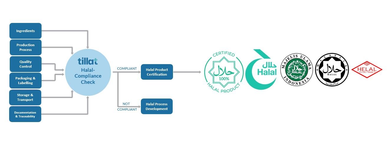 Halal Pharmaceutical Expertise – Tillat Manufactures Leading ...